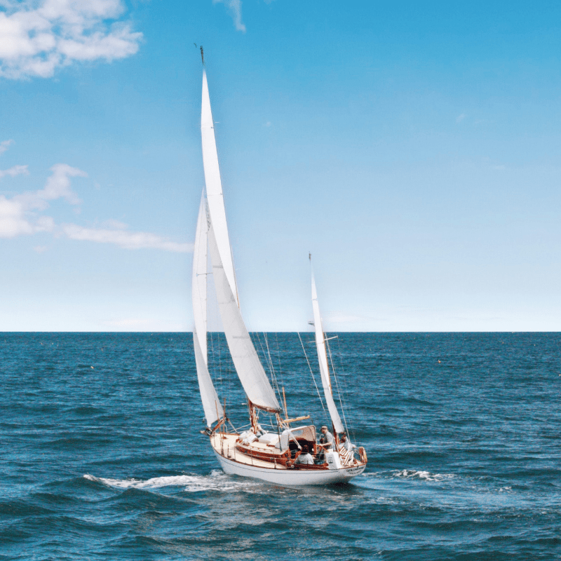 Legacy on the Lake 2026: Honoring The Van Elslander Family