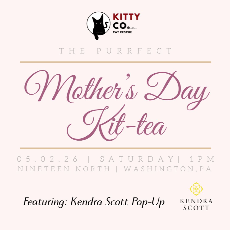 💖 The Purrfect Mother’s Day Kit-Tea 💎 Ft. Kendra Scott Pop-Up