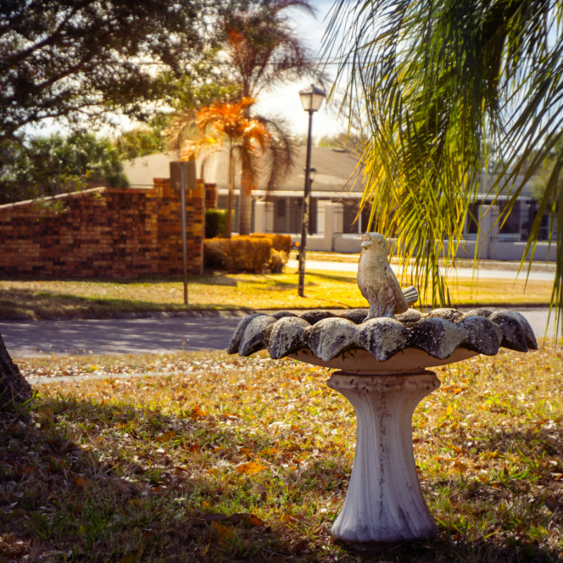 CREATING A WILDLIFE FRIENDLY YARD-Summer 2026