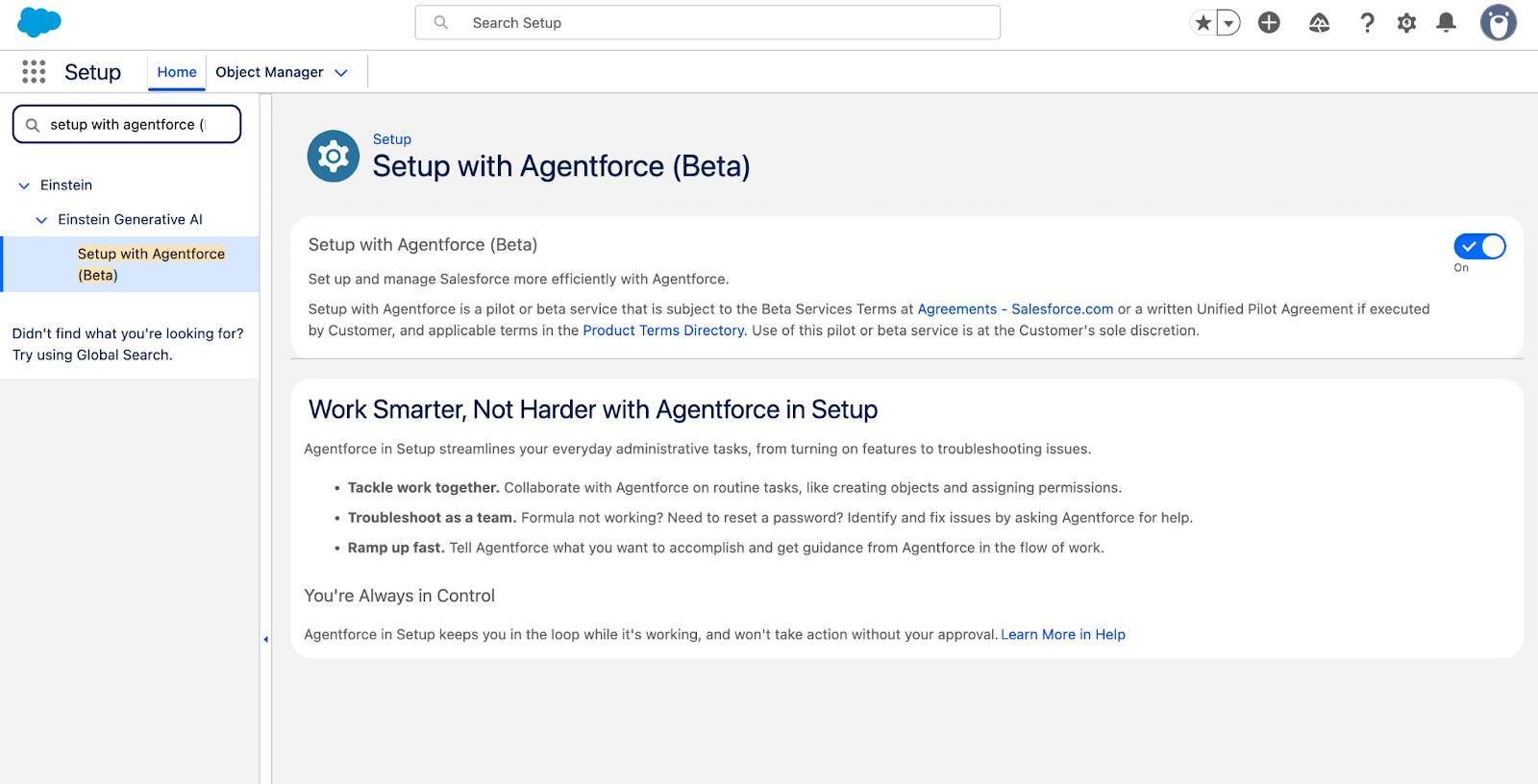 Streamline Salesforce Admin Tasks with Agentforce Setup