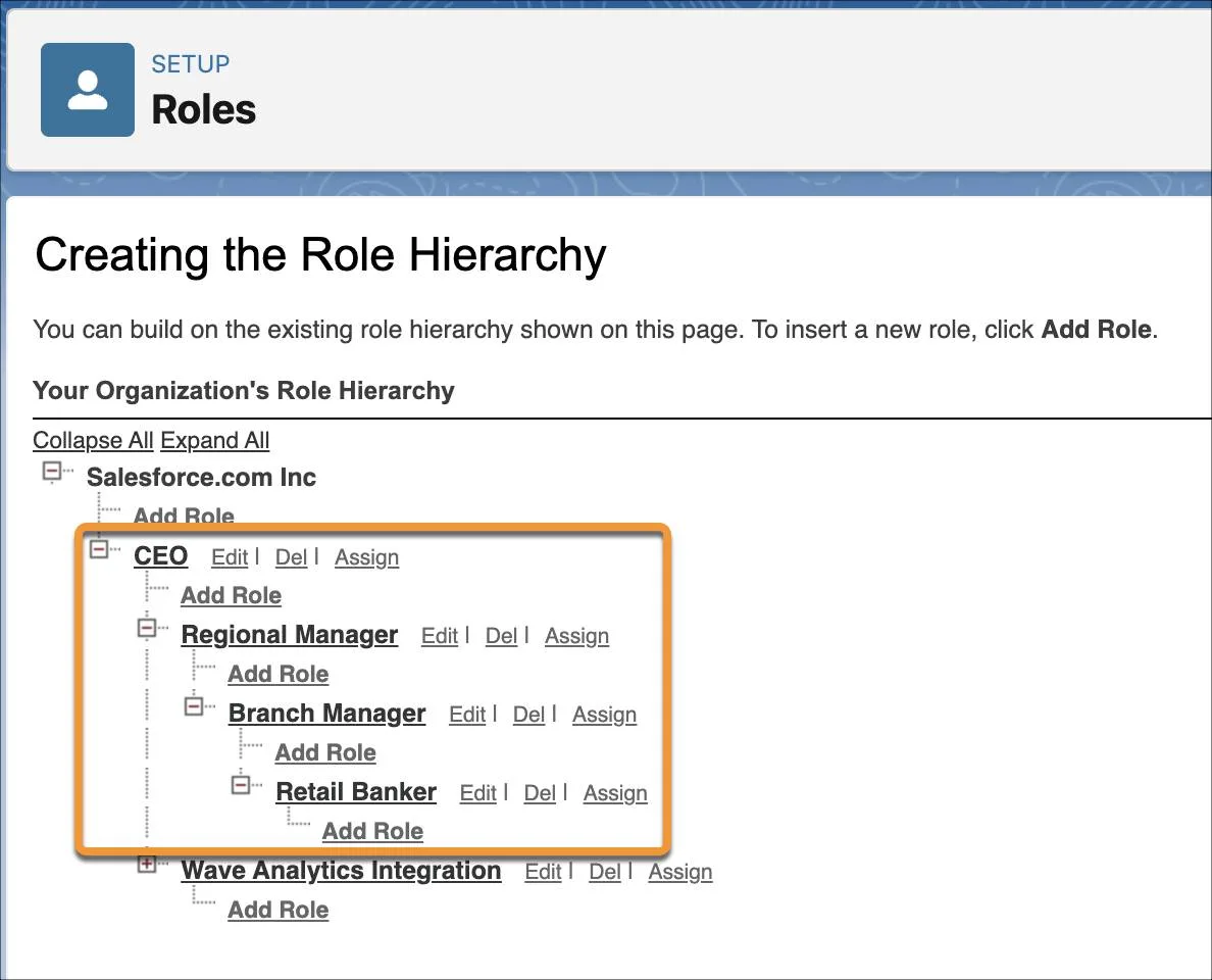 Setup Role Hierarchy And Sharing Rules
