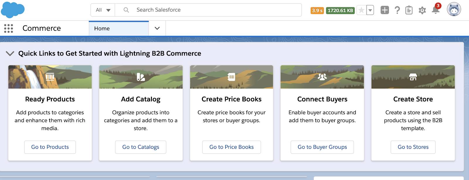 Define Personas and Permissions for the Team Unit | Salesforce