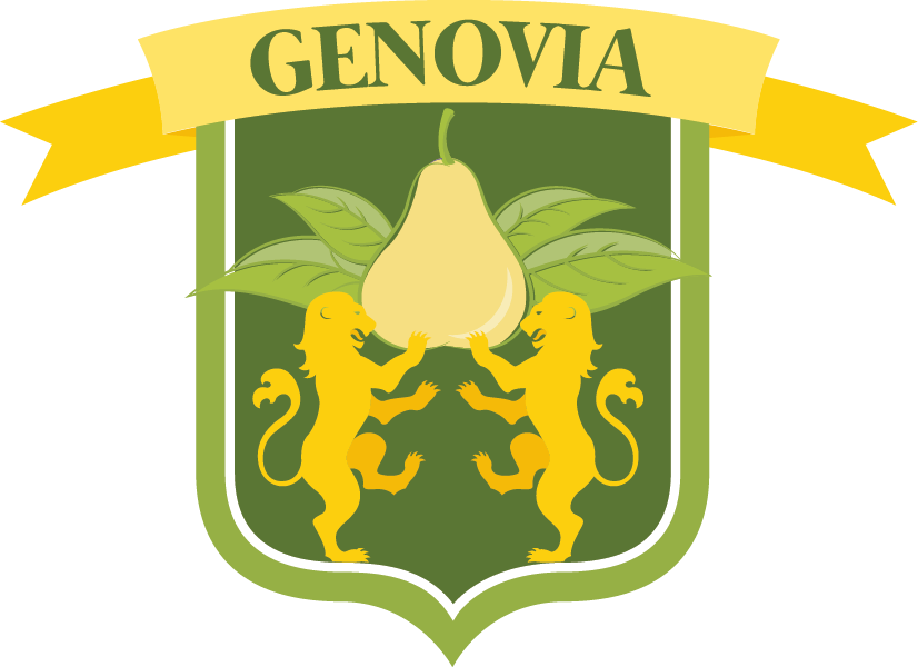 Build Decisions with Lookup Tables Unit | Salesforce Trailhead