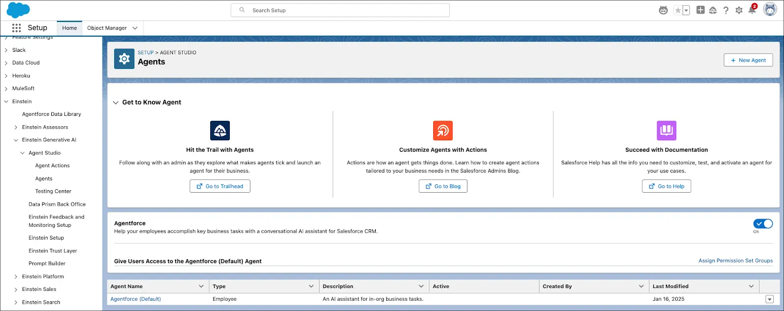 Customize Your AI Assistant in Salesforce | Salesforce Trailhead