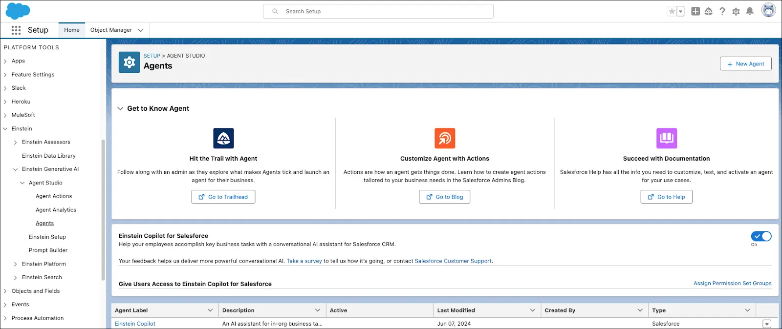 Customize Your AI Assistant in Salesforce | Salesforce Trailhead