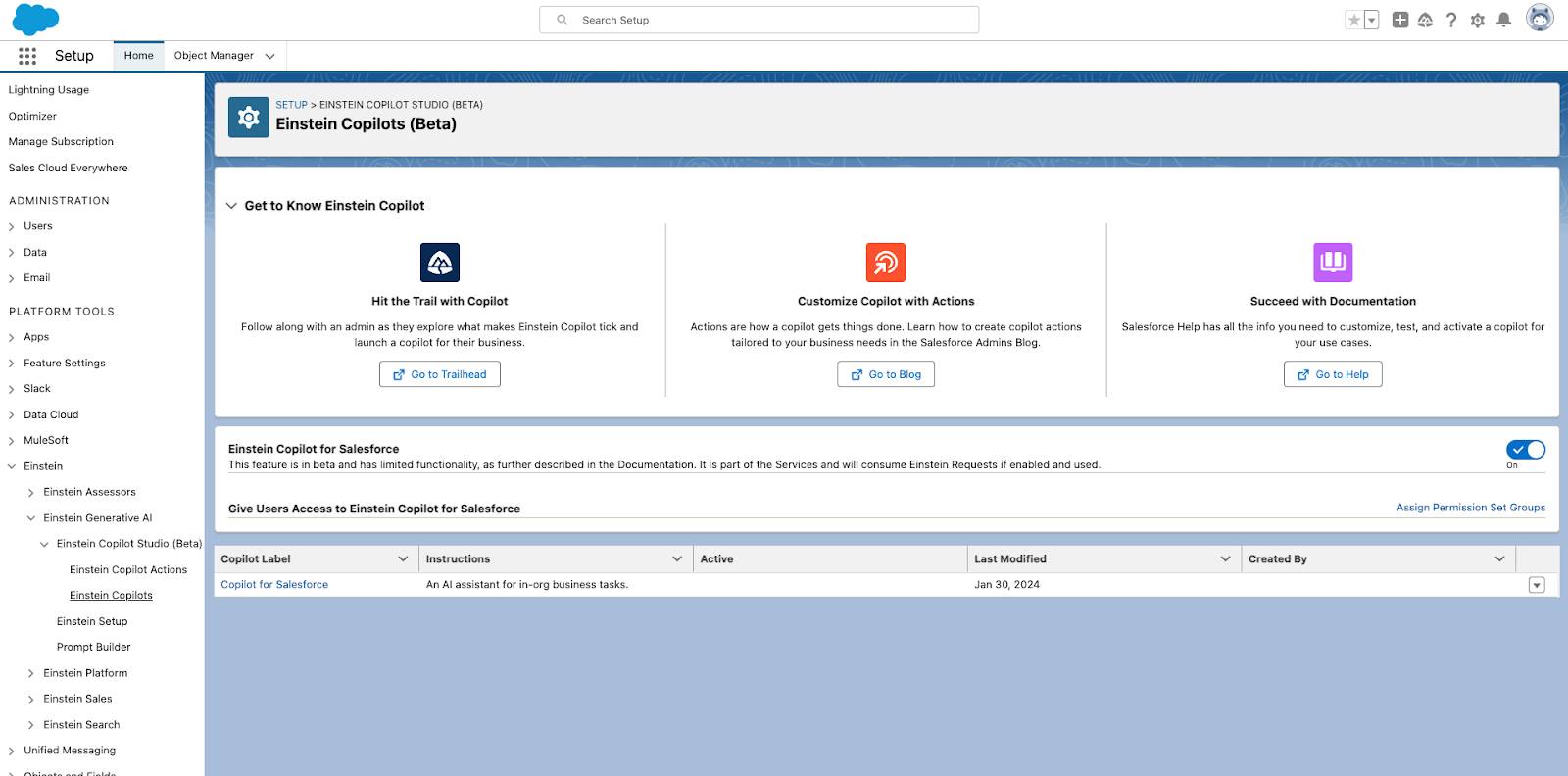 Enable and Customize a Copilot | Salesforce Trailhead