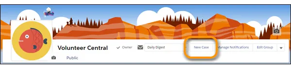 Chatter Groups Collaboration Types | Salesforce Trailhead