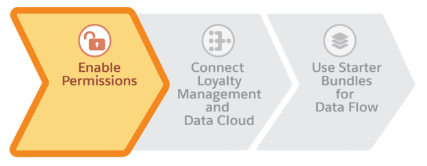Optimize Data Cloud and Loyalty Management Setup | Salesforce
