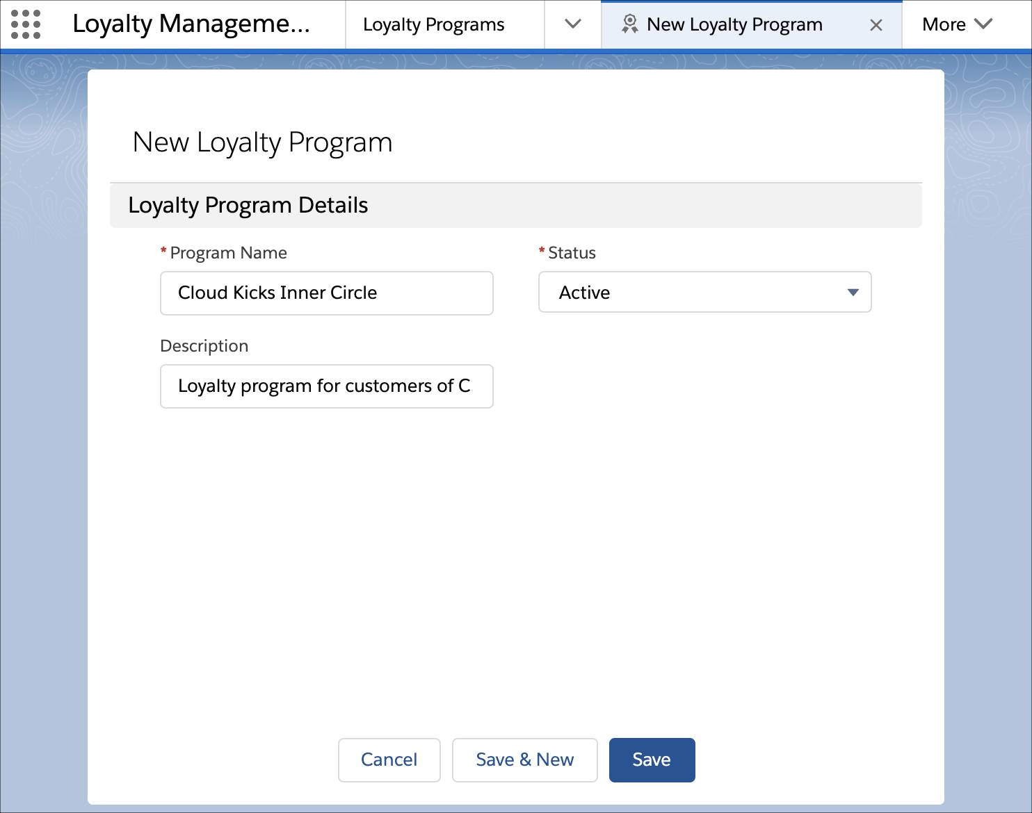 Unidad Set Up a Loyalty Program | Salesforce Trailhead