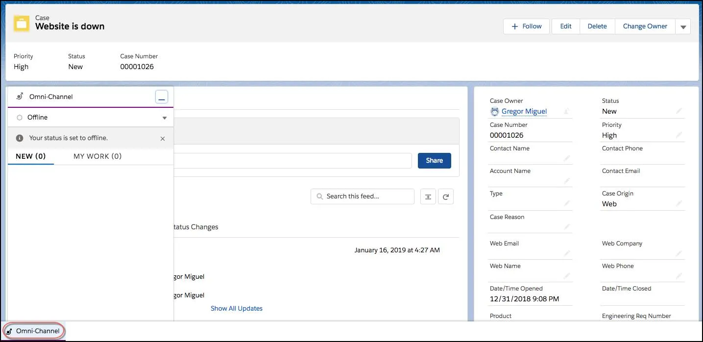 Service Cloud Omni-Channel Routing Setup Guide