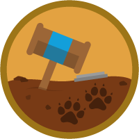 Study Up on Business Process Mapping Unit | Salesforce Trailhead