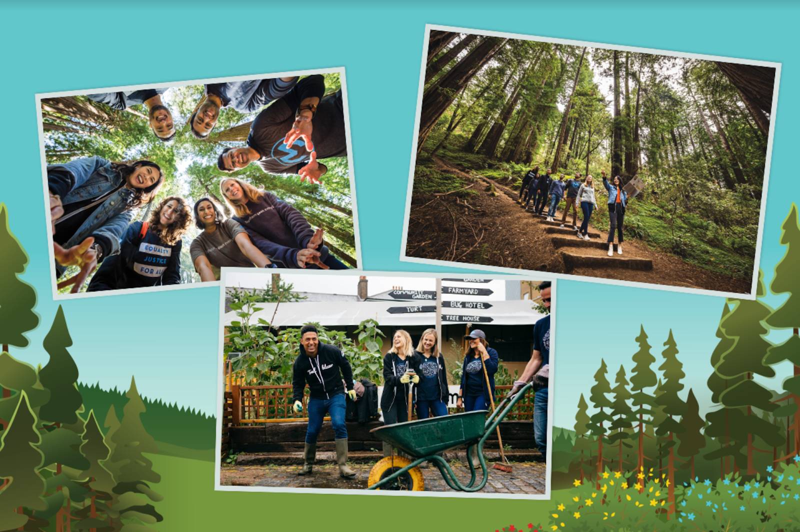 Become a Tree Champion | Salesforce Trailhead