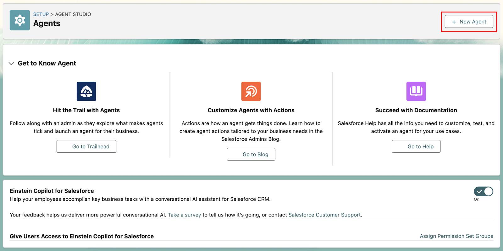 Configure An Agentforce Service Agent Salesforce Trailhead 8432
