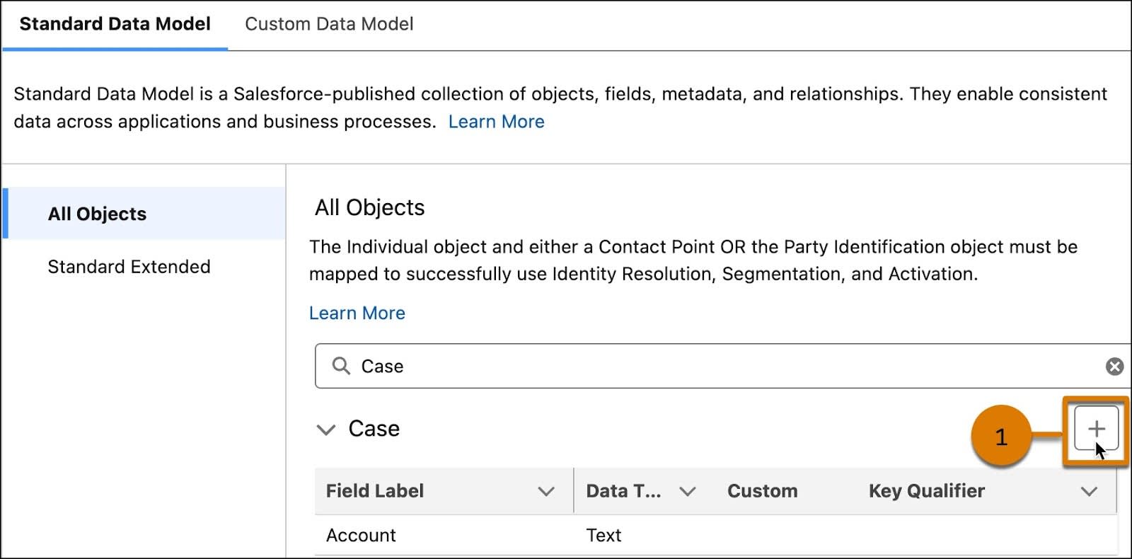 Create Insights Using Data Cloud | Salesforce Trailhead