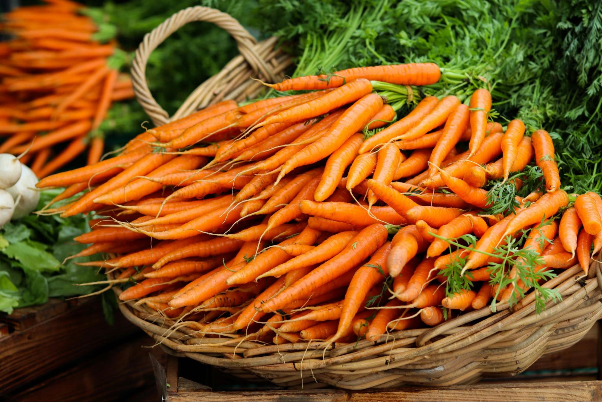 25 Foods High in Fiber to Support Your Digestive Health | Hydrow
