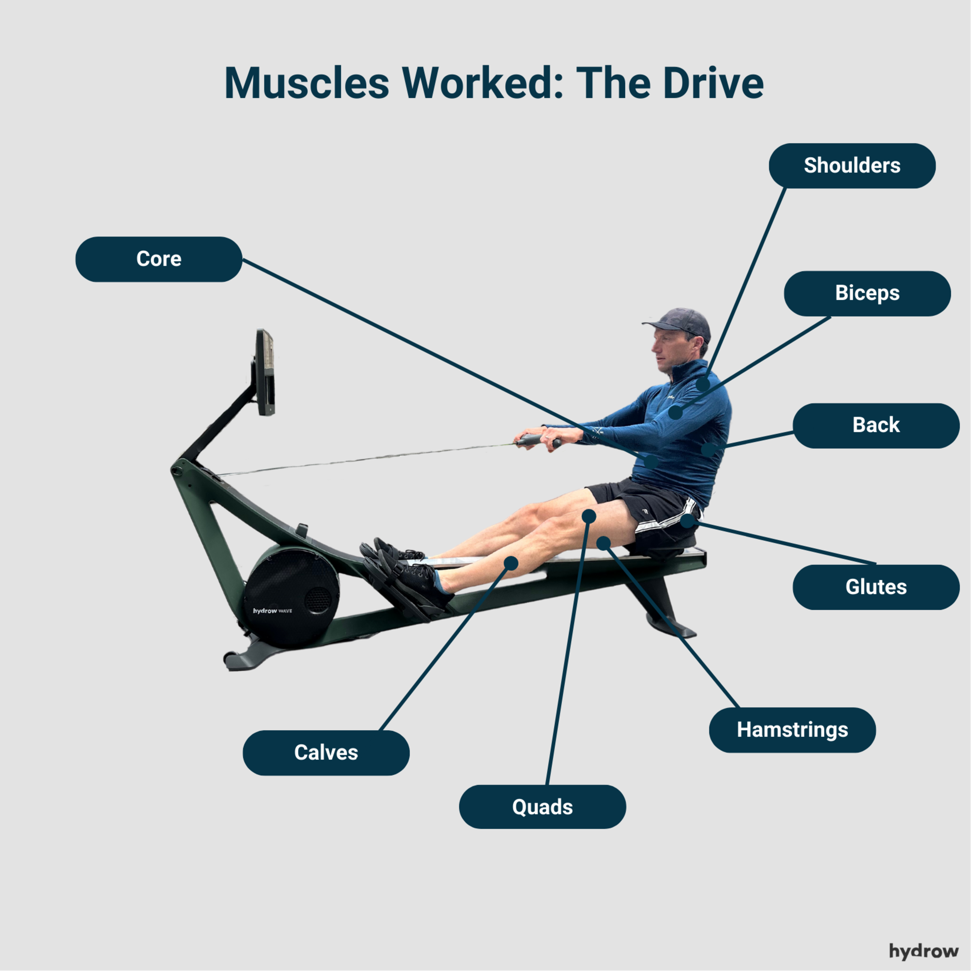 What Muscles Does a Rowing Machine Work? Full-Body Benefits Explained ...
