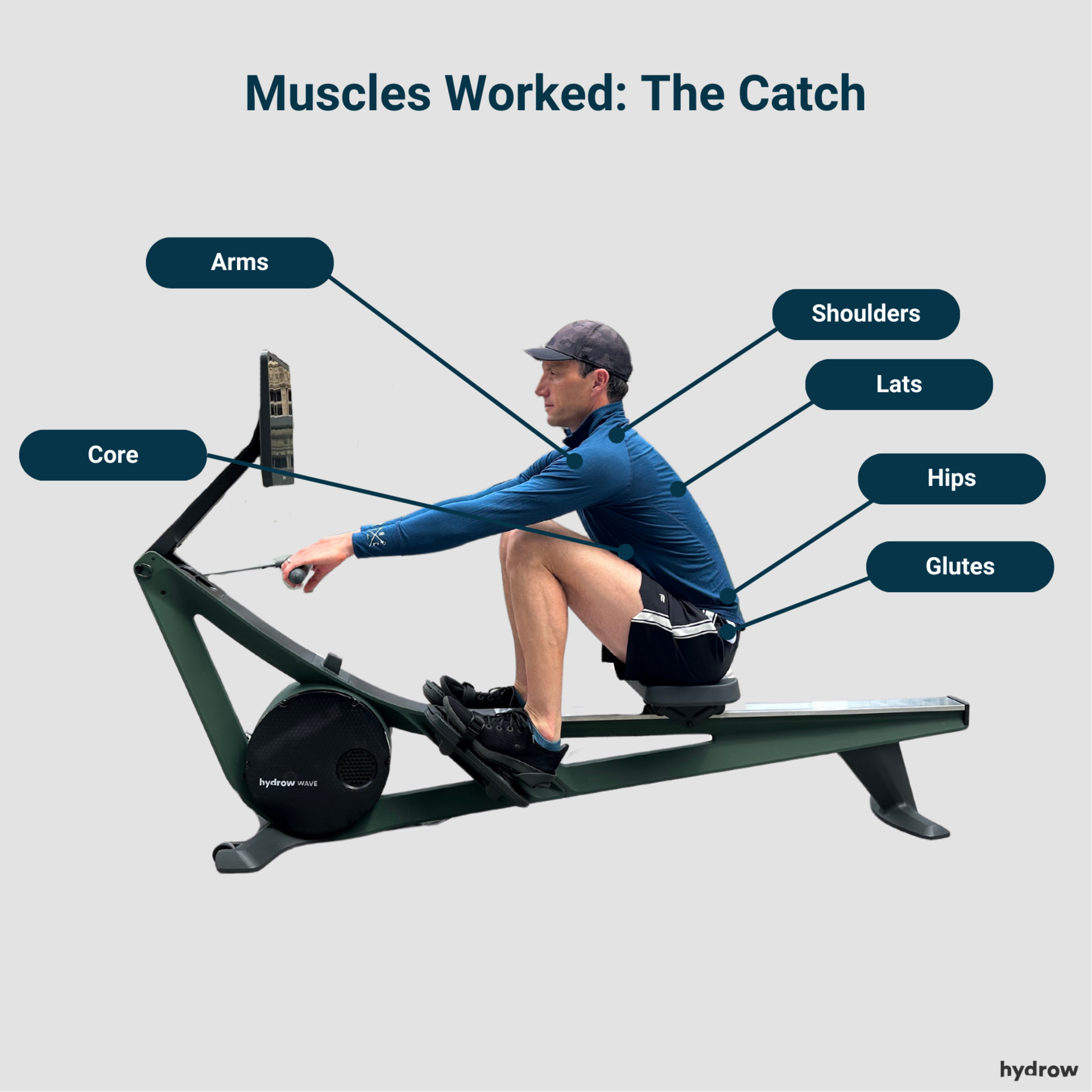What Muscles Does a Rowing Machine Work? Full-Body Benefits Explained ...