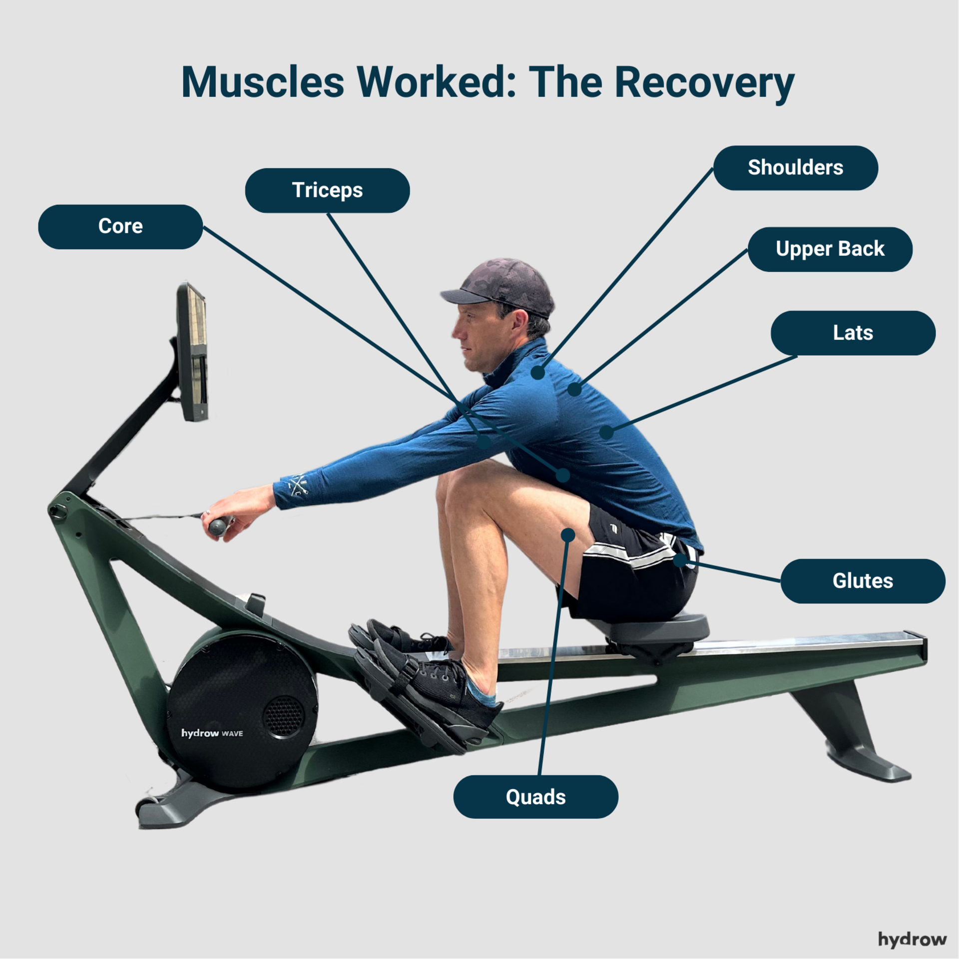 What Muscles Does a Rowing Machine Work? Full-Body Benefits Explained ...