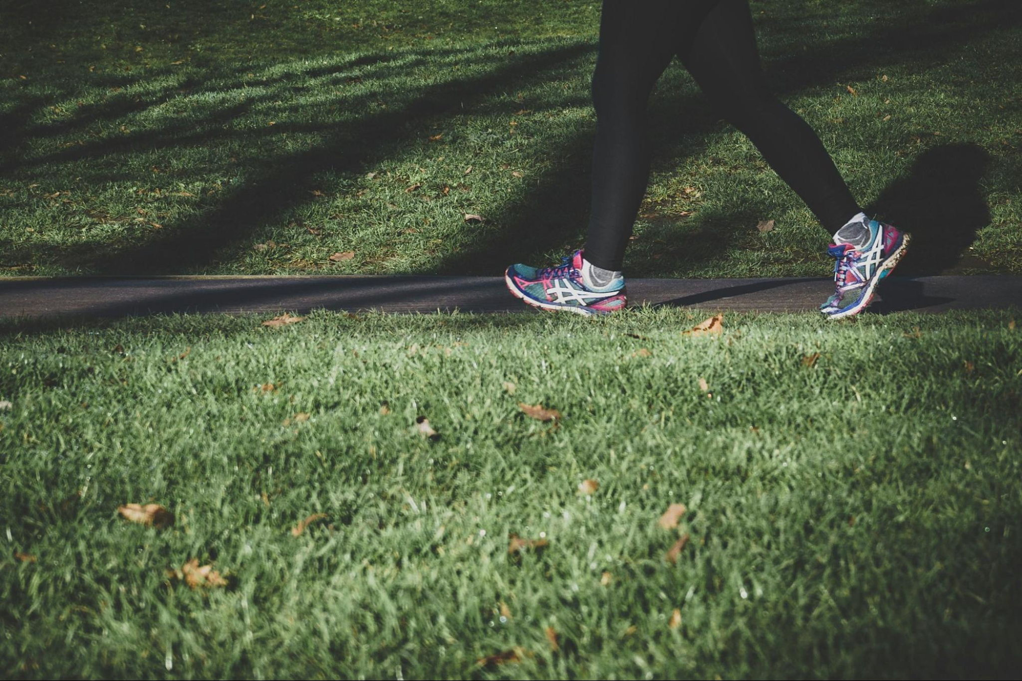 12 Cardiovascular Endurance Exercises to Add to Your Fitness Routine ...