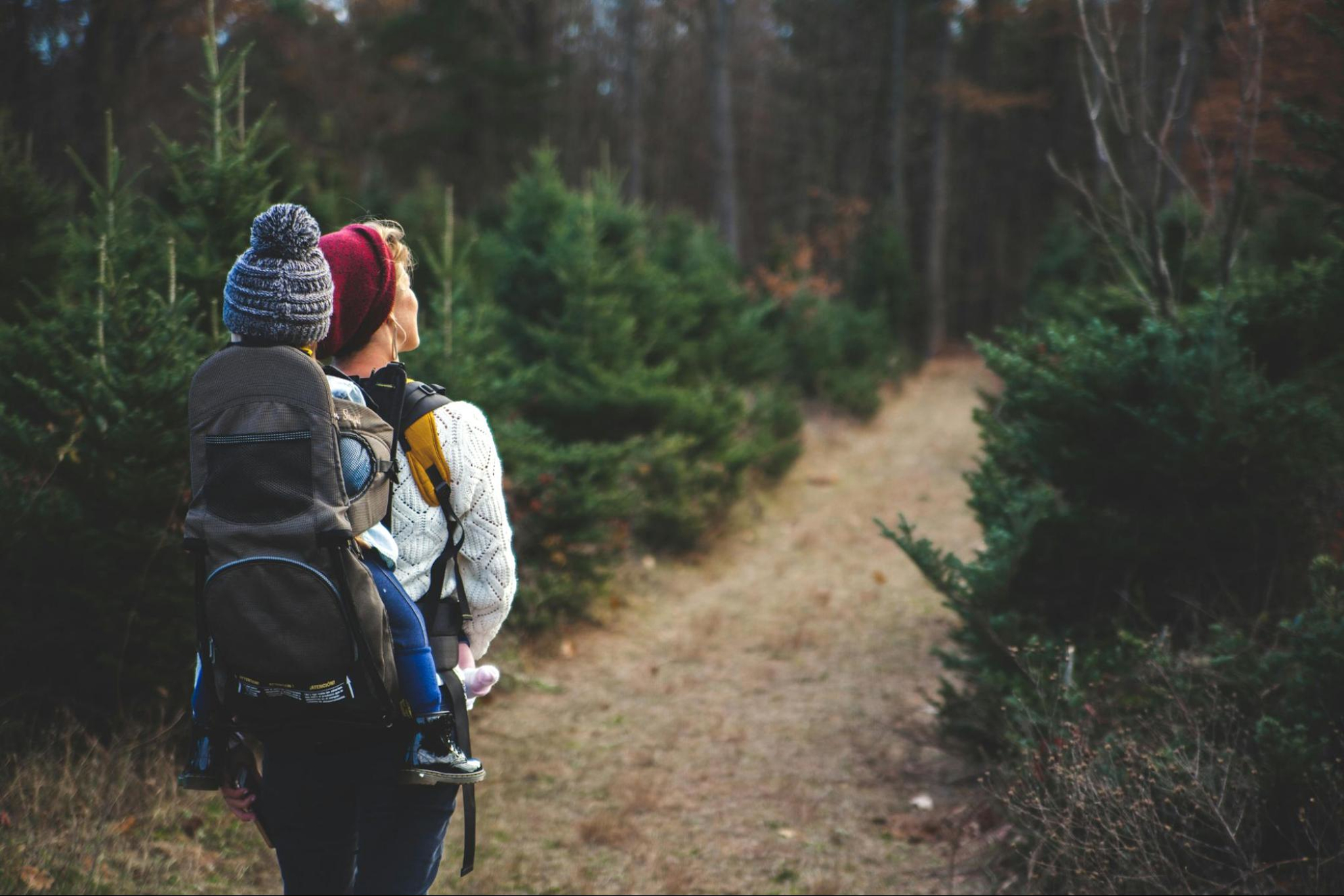 Fitness Goals Examples: 20 Short-Term and Long-Term Goals to Strive For ...