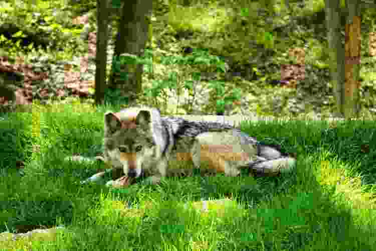 Team Building Activities in St. Louis | 21 Best in 2023 | Cozymeal