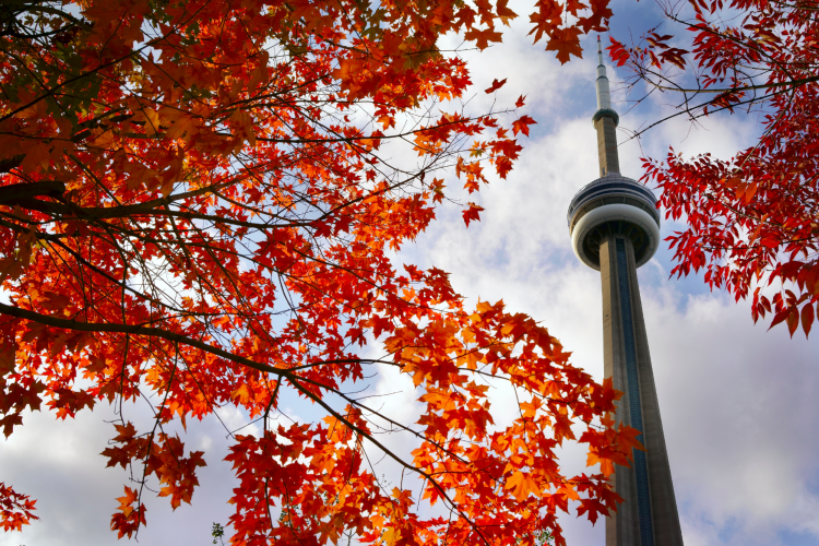 Things to Do in Toronto | 30 Fun Ideas for 2023 | Cozymeal