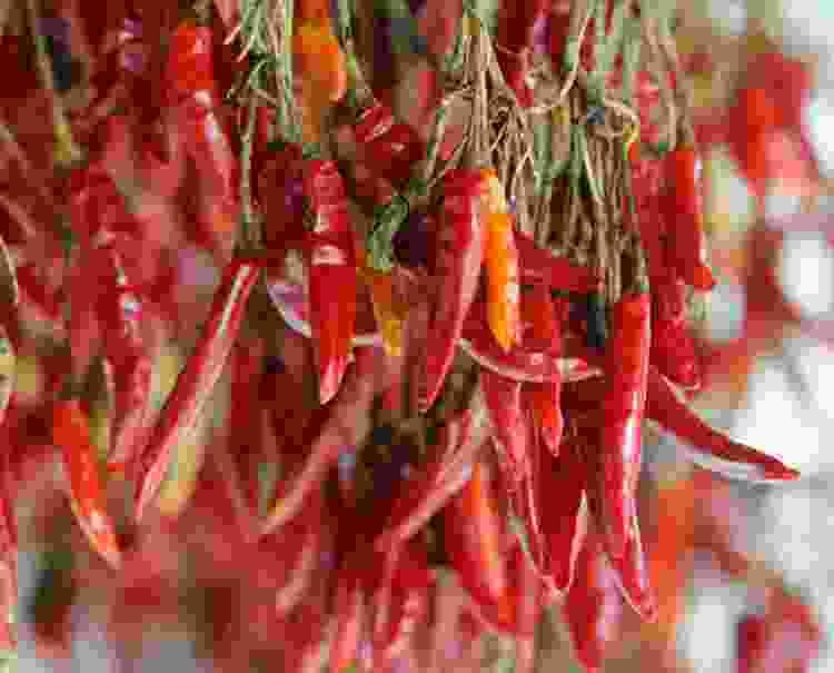 11 Hot Peppers and How to Eat Them | Cozymeal