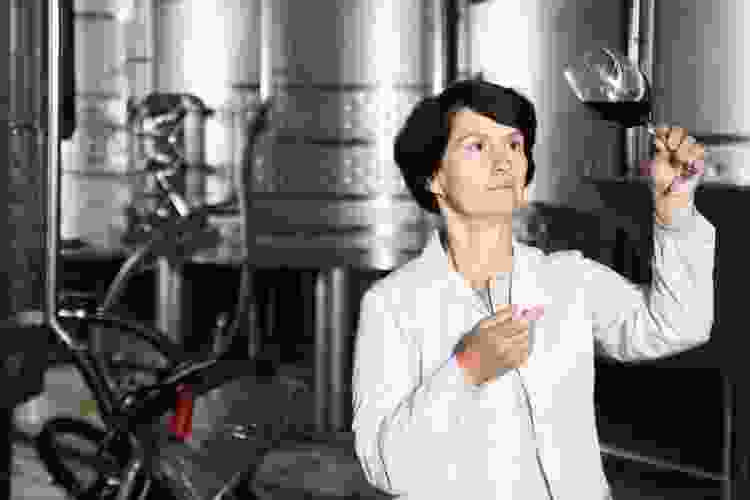 What Is a Sommelier? | Sommelier Definition and More | Cozymeal