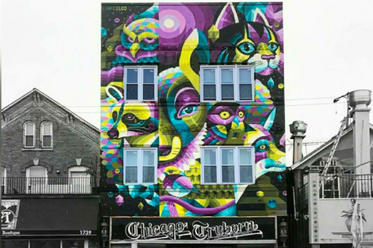 Chicago Art Galleries | 27 Best in 2026 | Classpop!