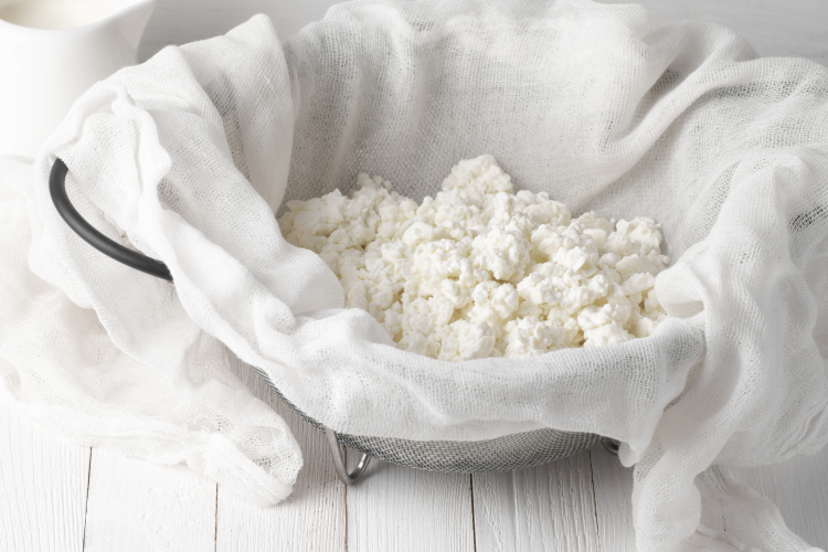 Cottage Cheese | Guide in 2026 | Classpop!