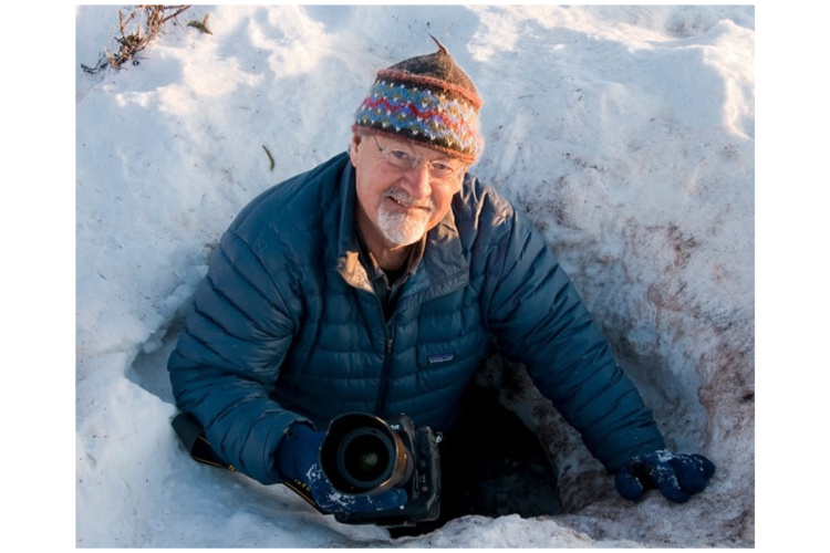 Wildlife Photography | Guide for 2026 | Classpop!