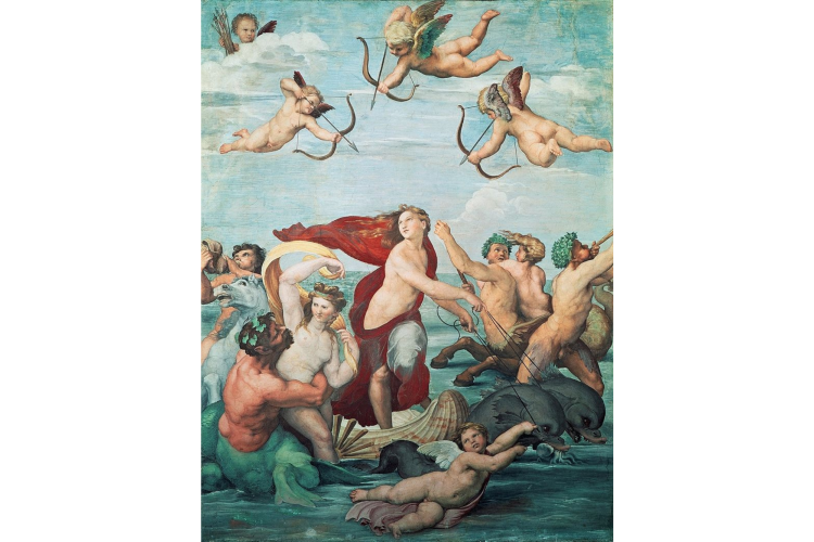 raphael galatea 1513