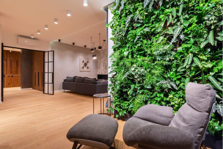 Biophilic Design | Quick Guide | Classpop!