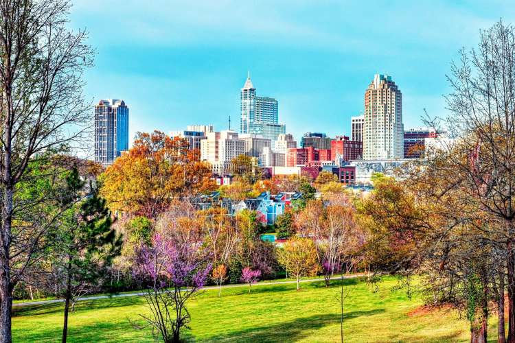 Team Building Activities in Raleigh | 15 Best in 2022 | Cozymeal