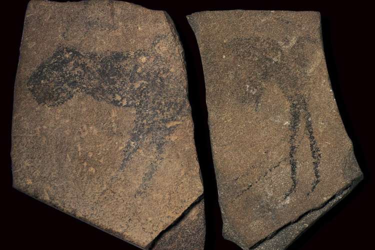 Cave Paintings | Best To Know in 2025 | Classpop!