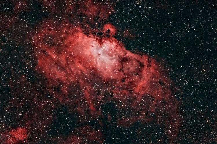 Types of Photography | Explore Them All in 2025 | Classpop!