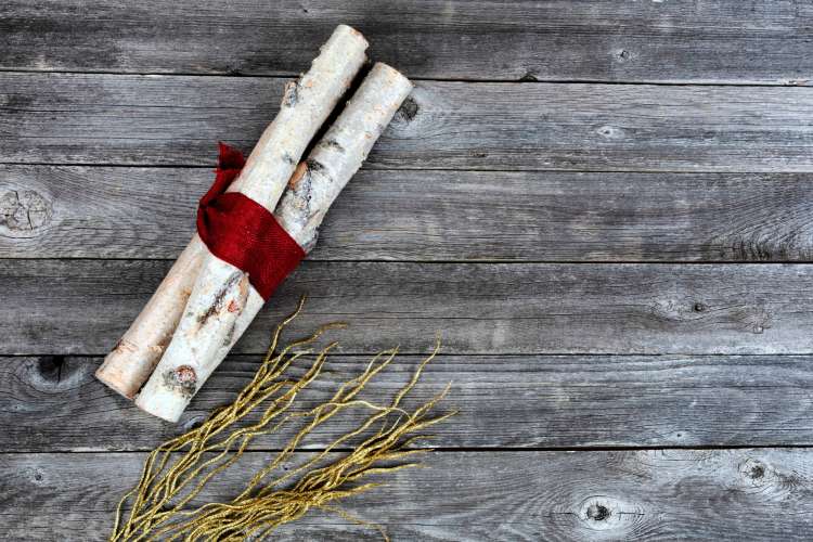 Christmas Centerpiece Ideas| 57 Best in 2025 | Classpop!