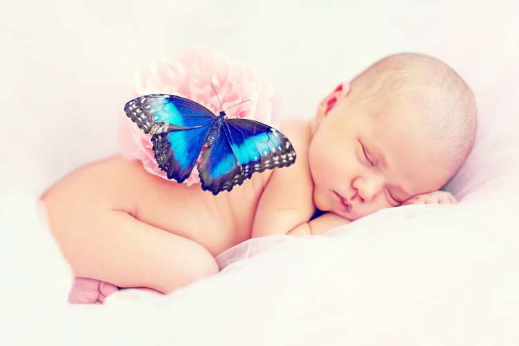 Newborn Photography Ideas | Top Tips in 2025 | Classpop!