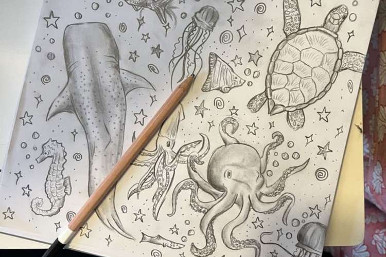 Fun Drawing Ideas | Best in 2025 | Classpop!