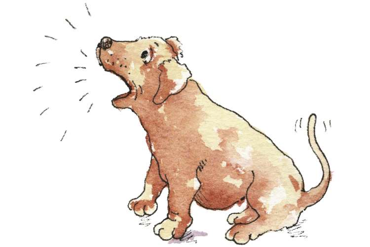 Types of Animation Styles | Main Types in 2025 | Classpop!