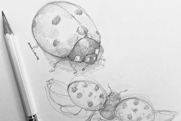Fun Drawing Ideas | Best in 2025 | Classpop!