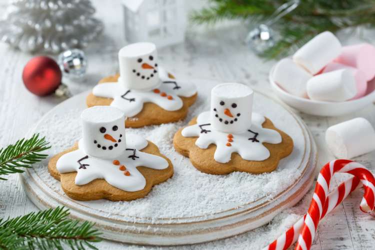 Christmas Cookie Ideas | Best in 2025 | Classpop!
