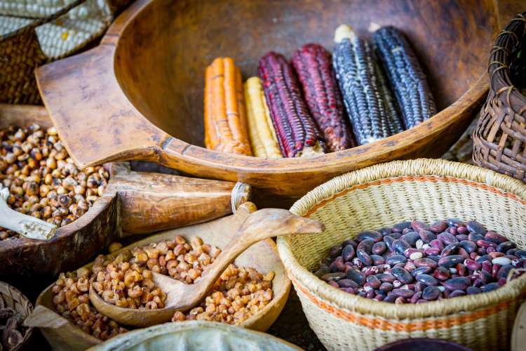 Native American Food | Top in 2025 | Classpop!