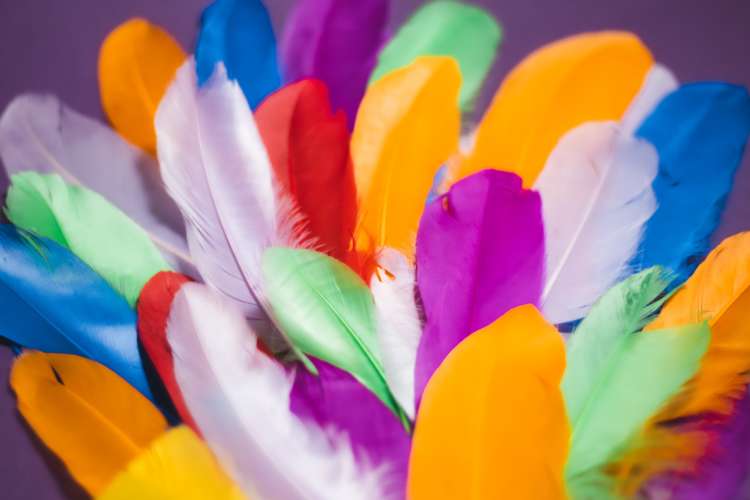 Fine Art Photography | Quick Guide for 2025 | Classpop!