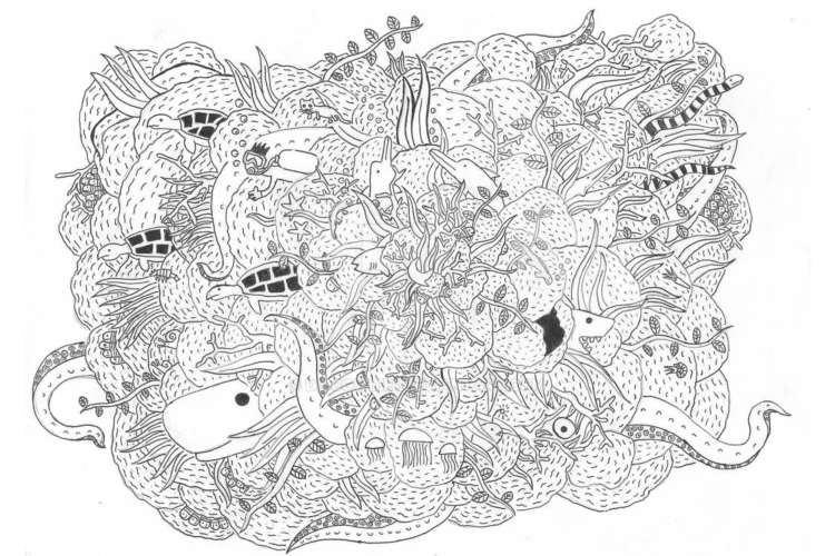 Easy Doodles | Best for Beginners in 2025 | Classpop!