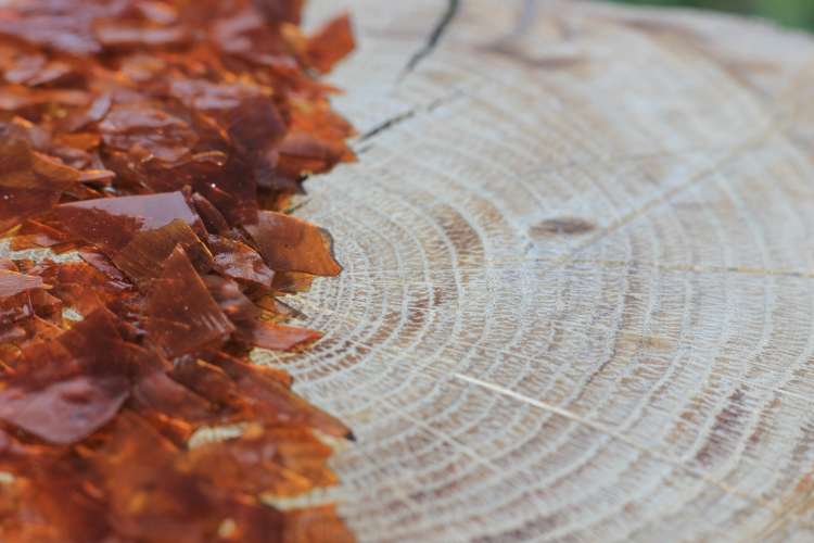 Chalk Paint Ideas | Best in 2025 | Classpop!