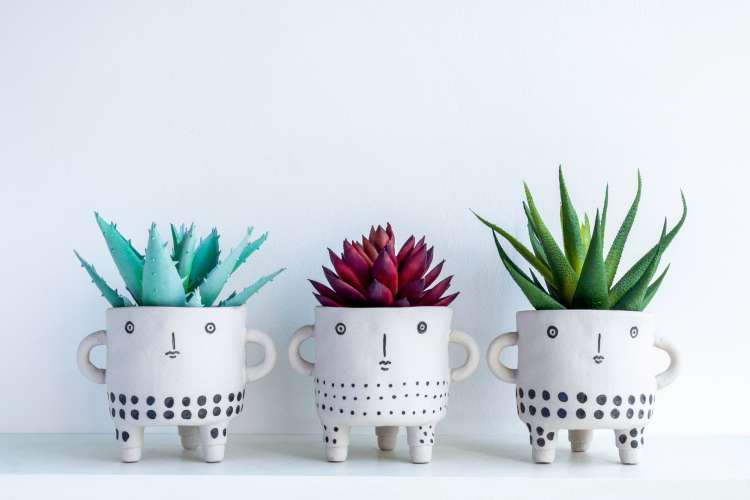 Ceramics Projects | Creative Ideas for 2025 | Classpop!