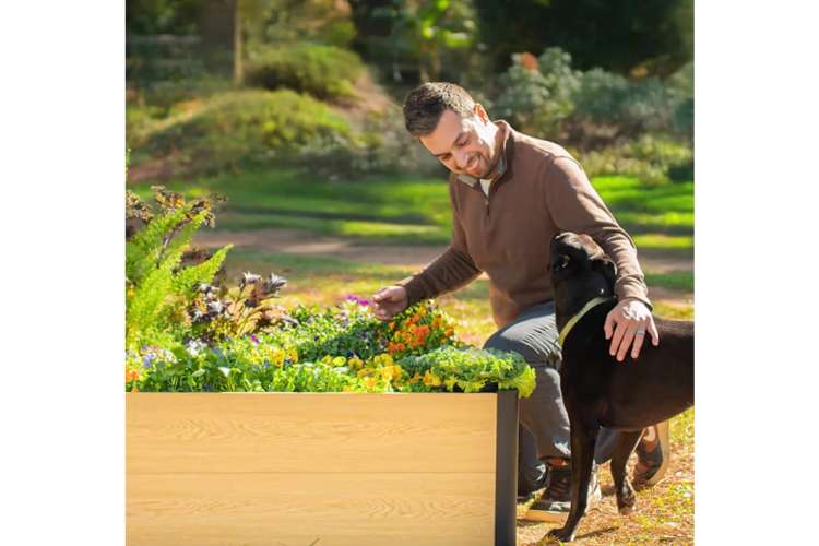 Raised Garden Ideas | Unique Designs for 2025 | Classpop!