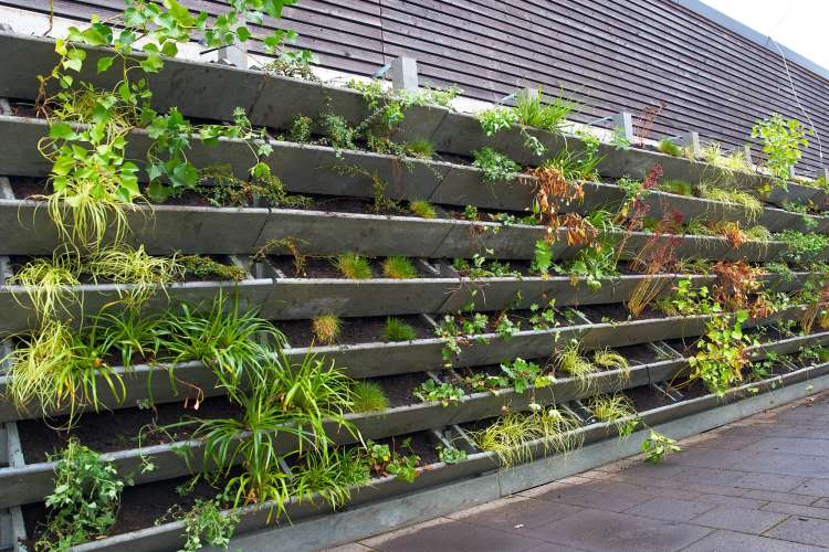 Container Garden Ideas | 69 Best for 2025 | Classpop!