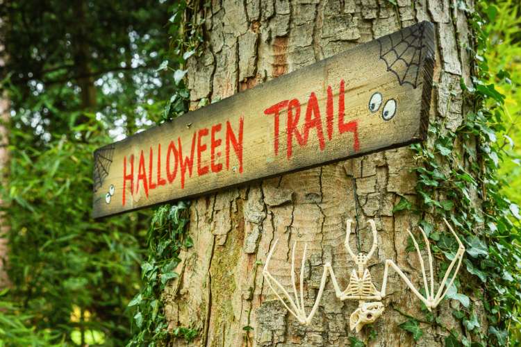 Halloween Craft Ideas | 69 Best in 2025 | Classpop!